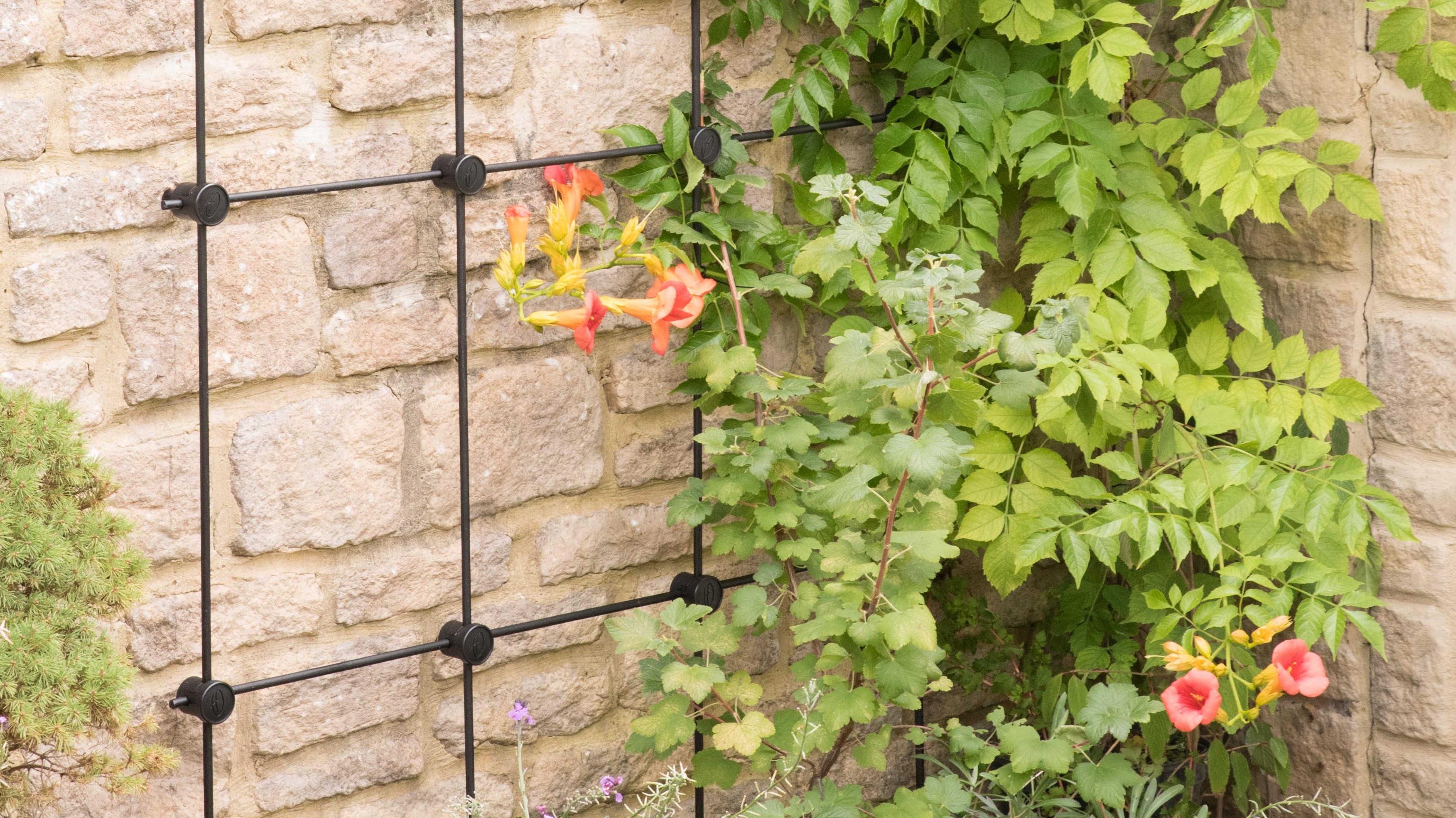 Kobius-Product Design & Development